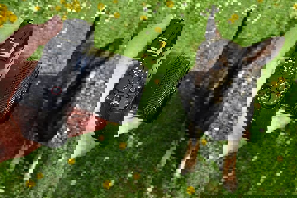 Canon EOS R50 V (RECENZIA): vysnívaný fotoaparát každého vlogera? | Alza.sk