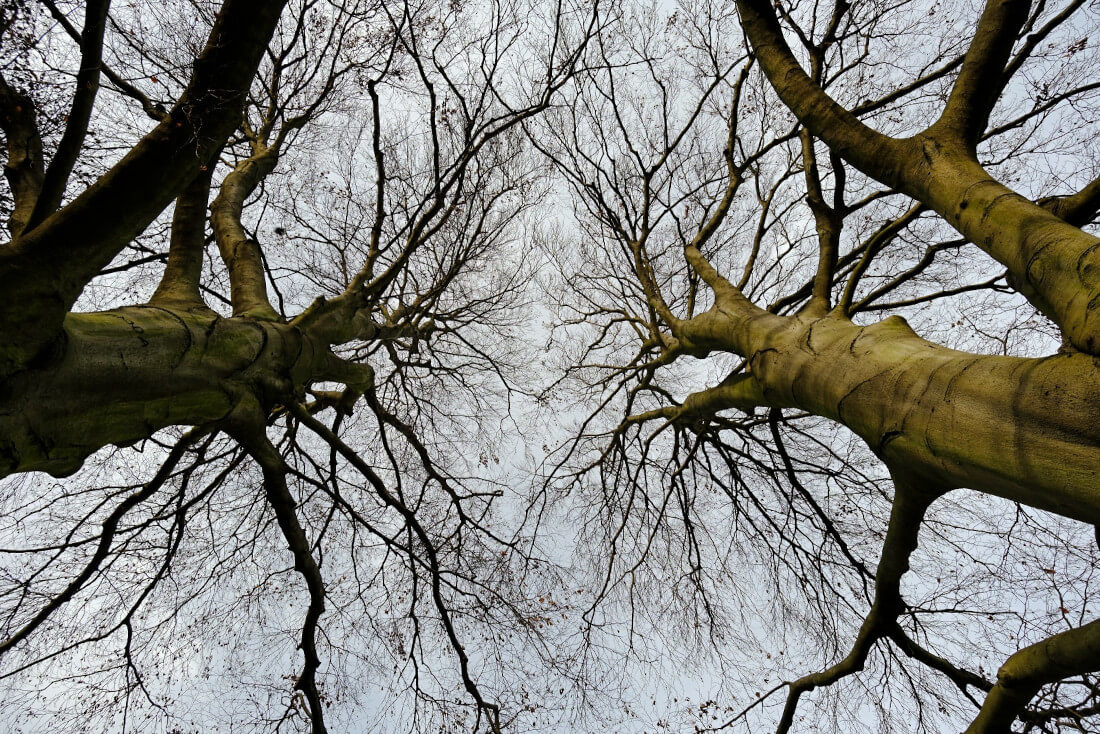 Fujinon XC 13 – 33 mm f/3,5 – 6,3 OIS (RECENZIA) | Alza.sk