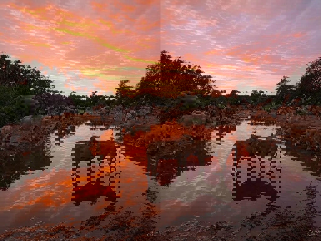 Grok 3: Rebelský chatbot Elona Muska, poháňaný superklastrom Nvidia ...