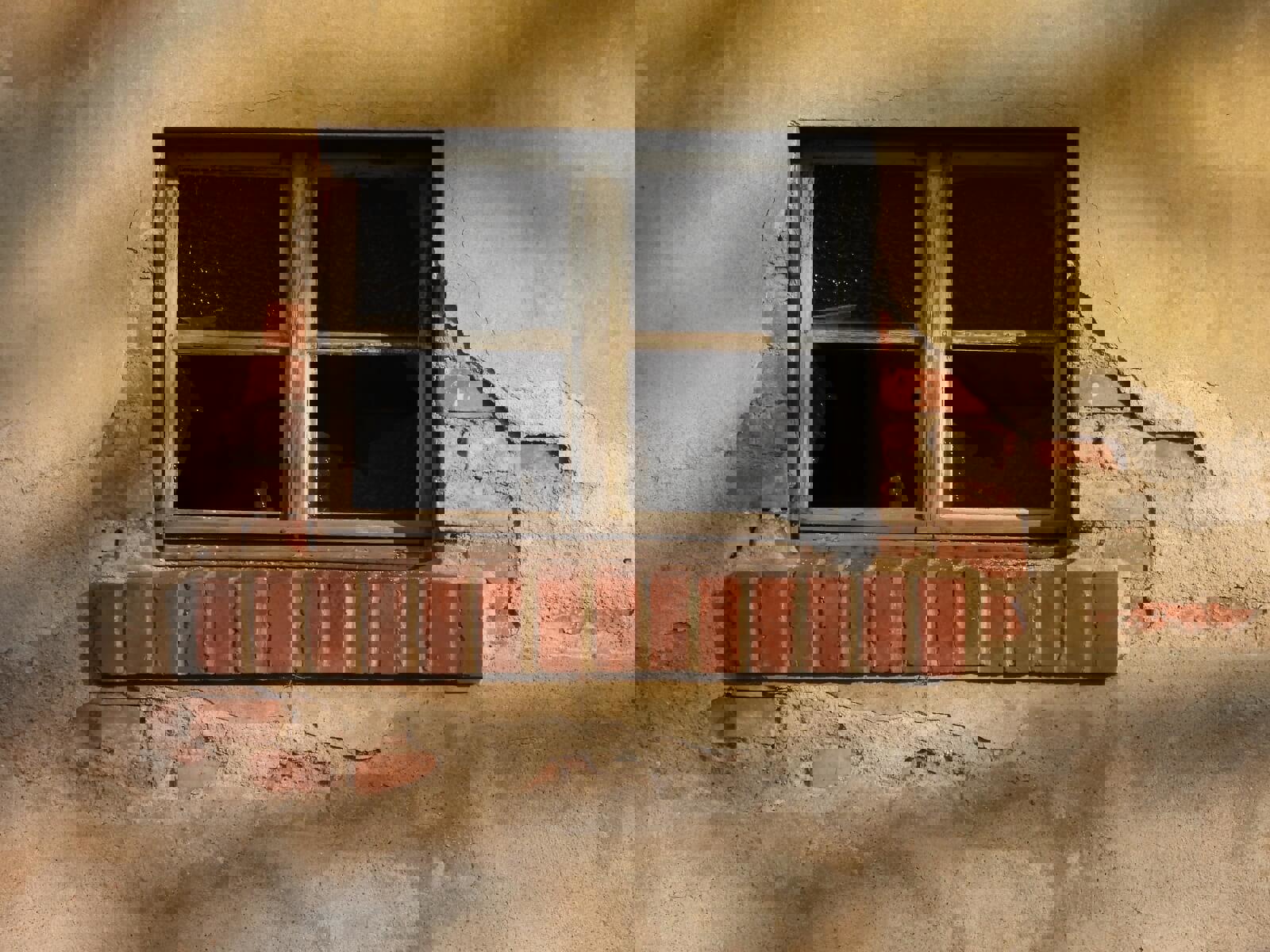 Nikon Coolpix P1100 (RECENZIA): posledný kompaktný fotoaparát od Nikonu ...