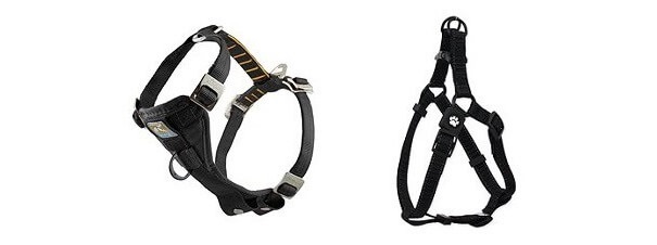 Postroje pre psov | Popruhy pre psov | Alza.sk