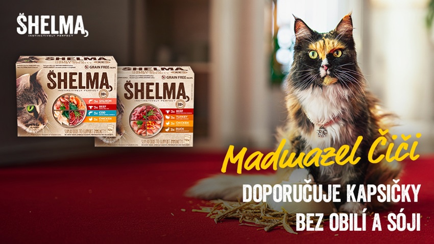 Vyskúšajte krmivá pre mačky Shelma a doprajte im poriadnu porciu mäsa ...