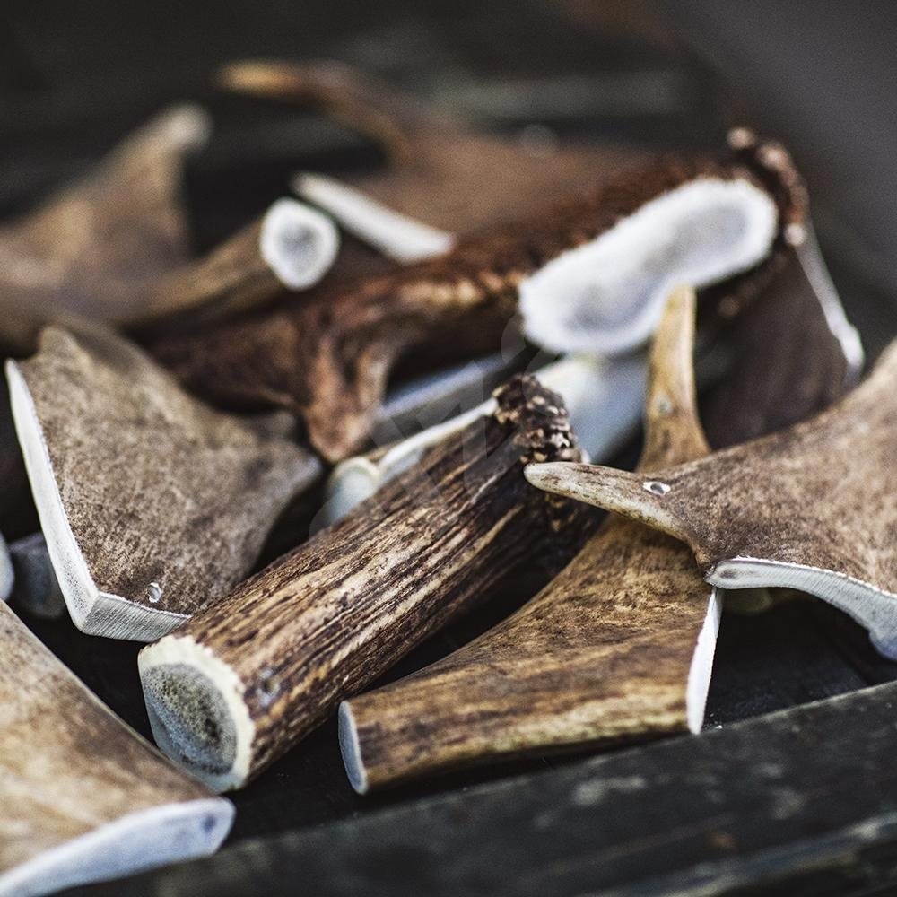 Paroh Jeleň celý S - Parohy pre psov | Alza.sk